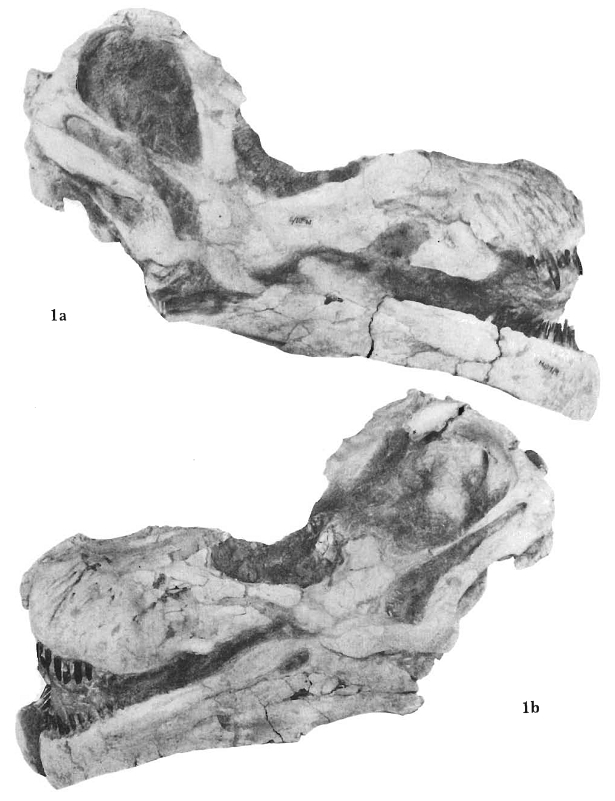 Nowinsky_1971_008.jpg | Fondazione Museo Civico di Rovereto