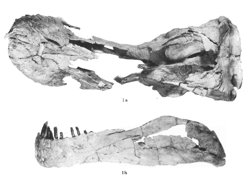 Nowinsky_1971_010.jpg | Fondazione Museo Civico di Rovereto